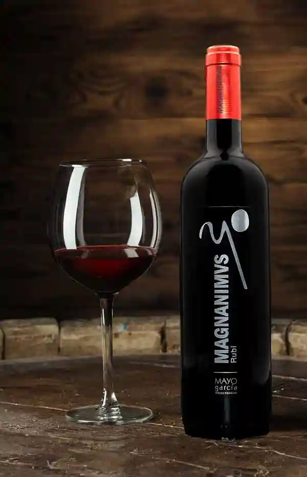 Descubre nuestras catas de vino | Bodega de vinos Magnanimvs