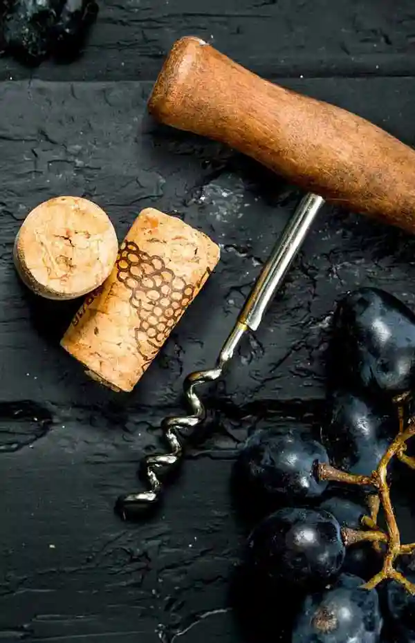 Visita y cata de vinos en la bodega Increíble Oferta 25€